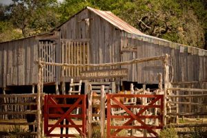 Photo Gallery of Dixie Dude Ranch