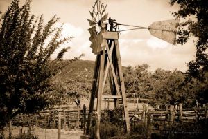 Photo Gallery of Dixie Dude Ranch