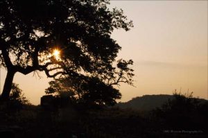 Photo Gallery of Dixie Dude Ranch