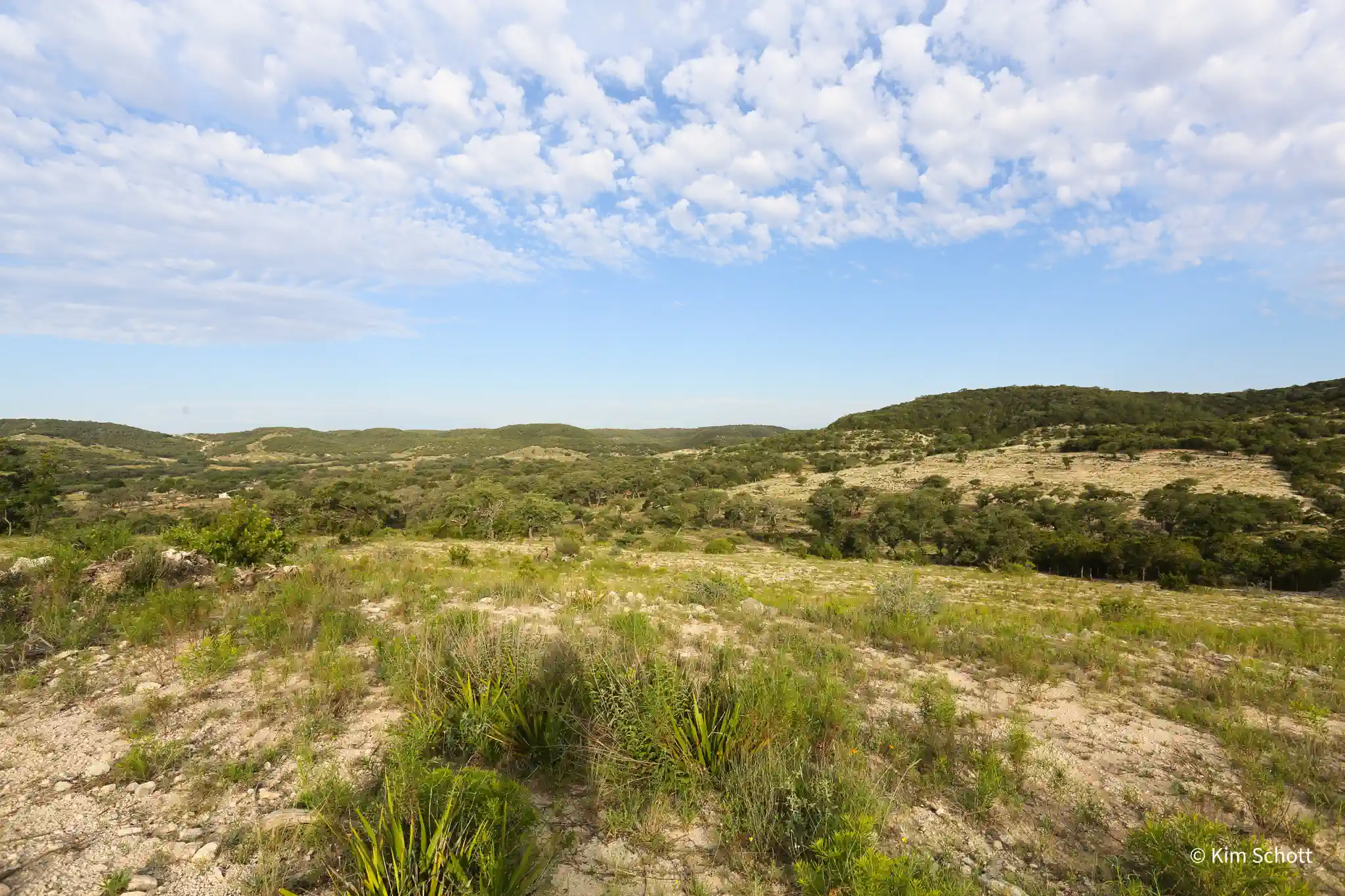 Amenities | Texas Hill Country Vacations at the Dixie Dude Ranch in ...